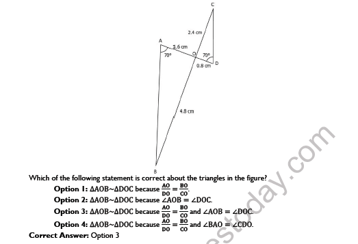 CBSE Class 10 Mathematics Triangles Worksheet Set E CBSE Class 10 Mathematics Triangles Worksheet Set E